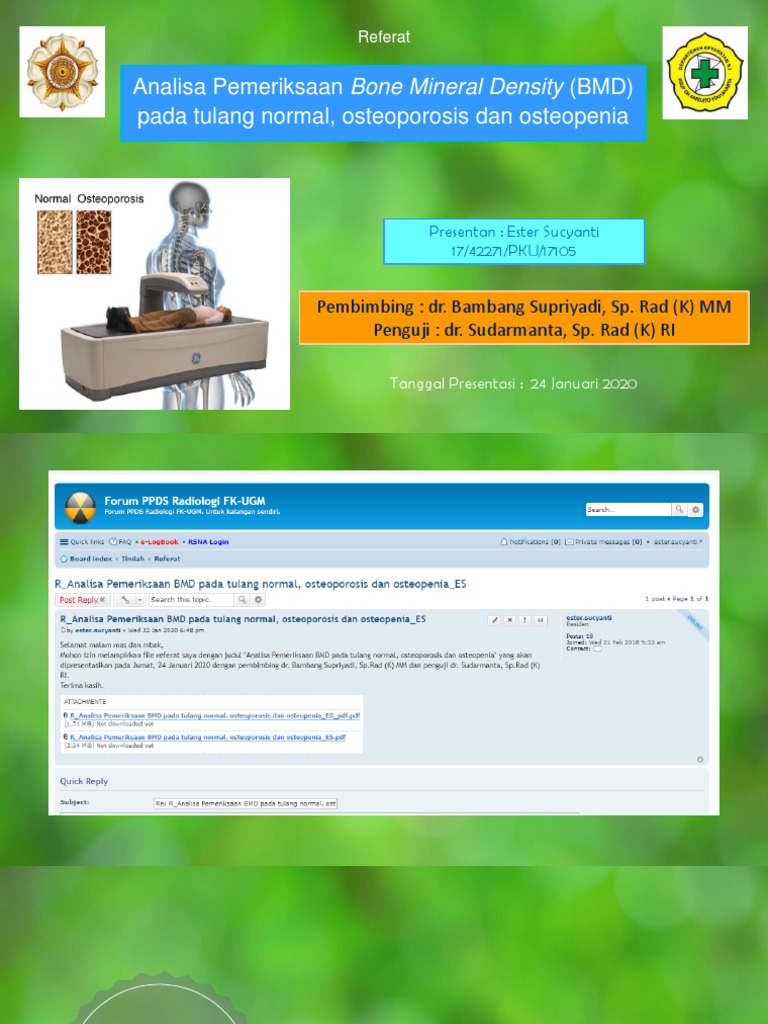 Analisis BMD: Normal, Osteoporosis, Osteopenia | PDF