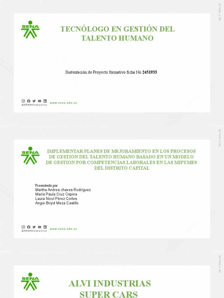 2-Presentación Proyecto TGTH - Fase II - 2022 | PDF