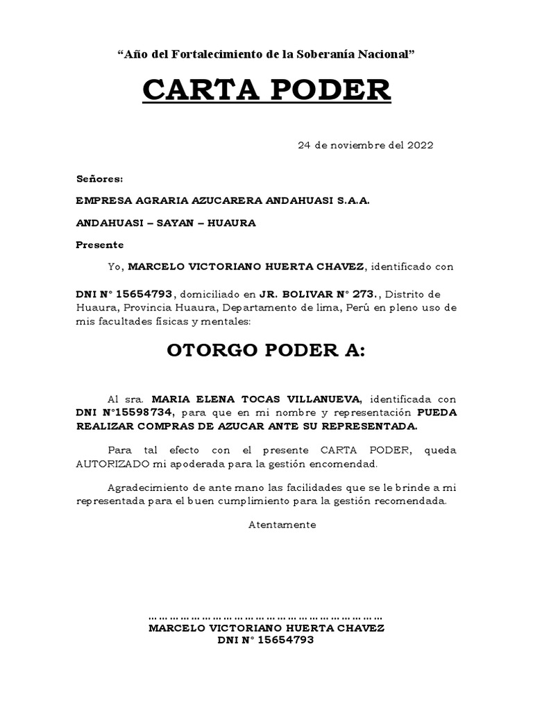 Carta Poder Para Legalizar Pdf