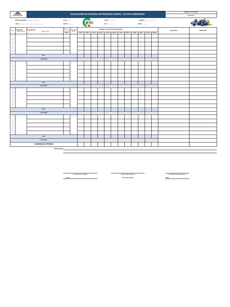 AG - CP-FO-LAB-00. Formato Evaluación de Control de Procesos Campo - Labores Cultivo Arándano | PDF