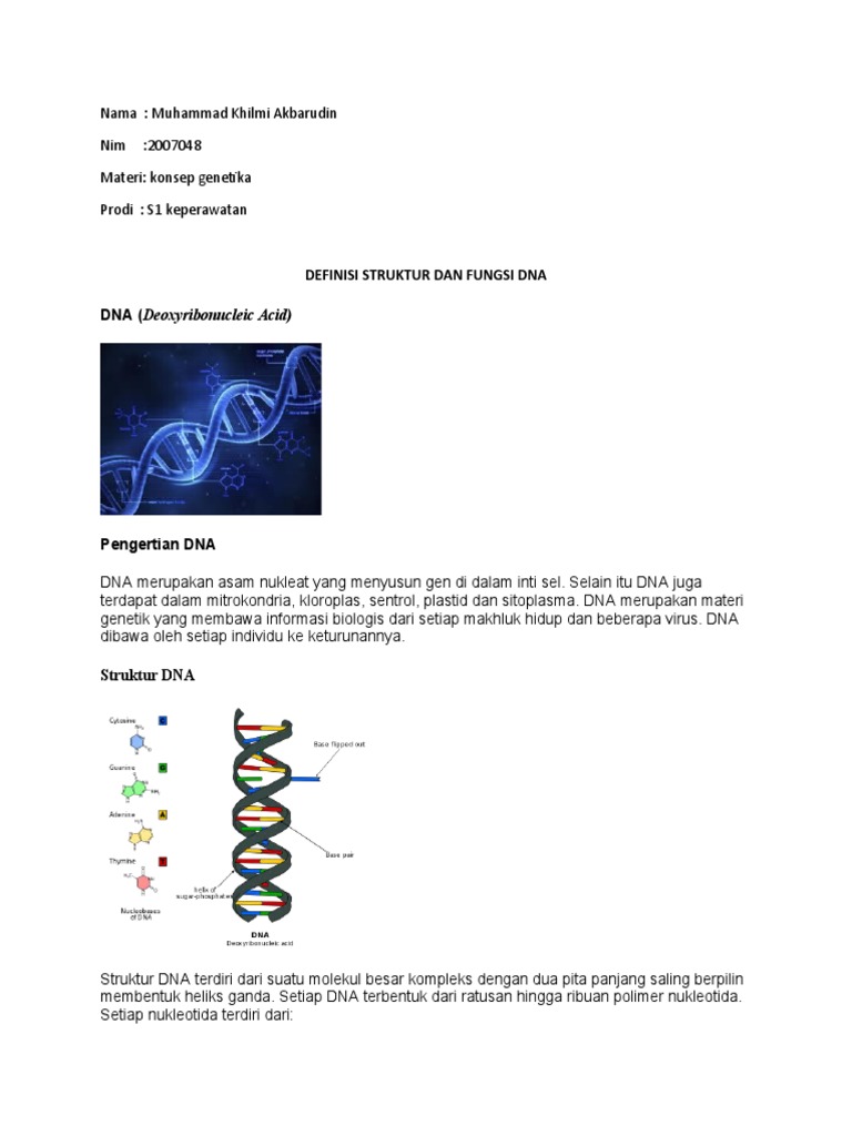 Konsep Genetika | PDF