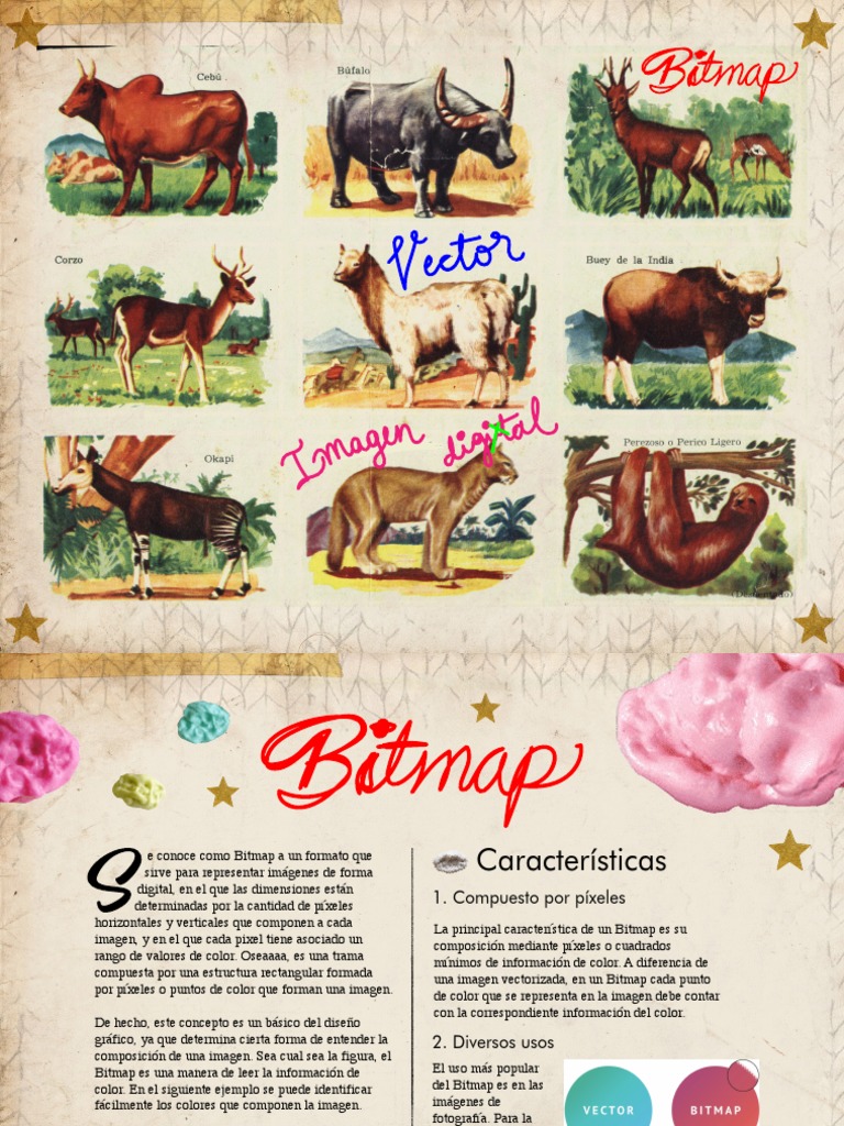 Guía Completa sobre Imágenes Bitmap | PDF | Píxel | Adobe Photoshop
