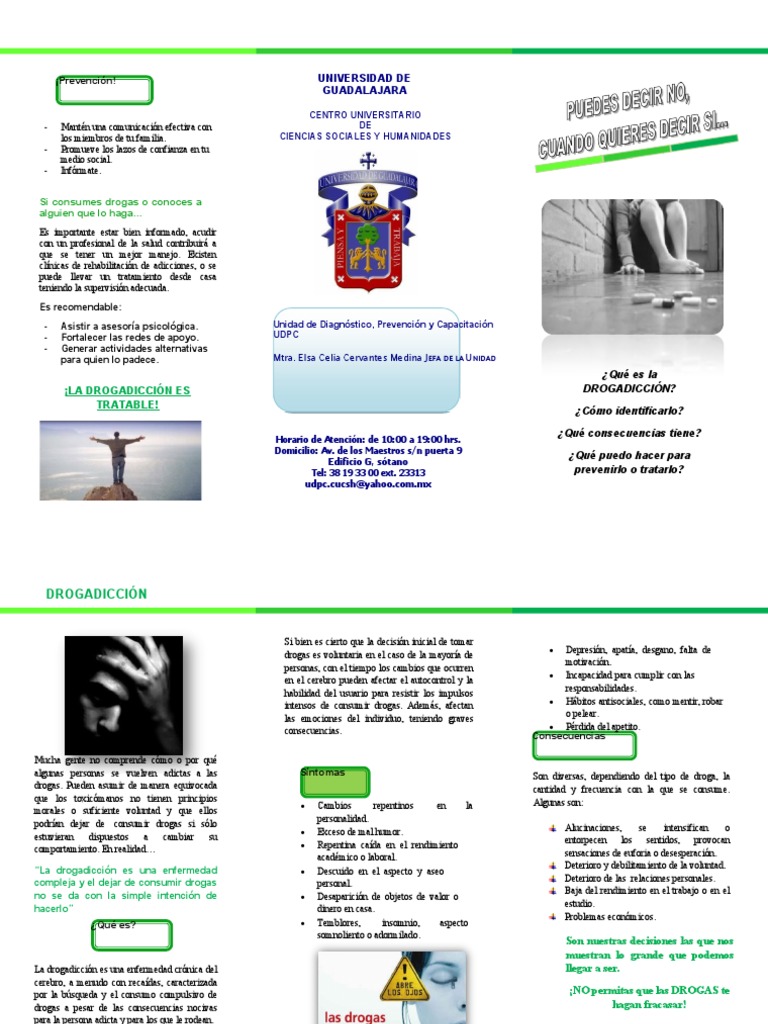 Triptico Drogadiccion | PDF | La dependencia de sustancias | Conceptos psicologicos