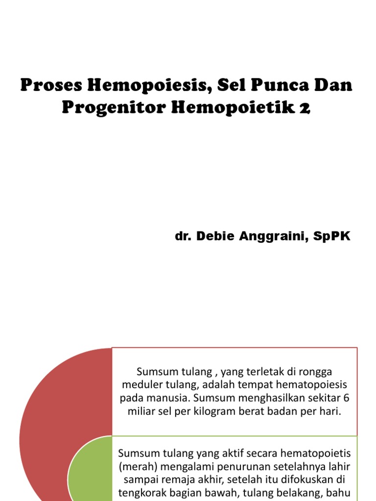 (DR - Debie) Proses Hemopoiesis, Sel Punca Dan Progenitor Hemopoietik2 ...