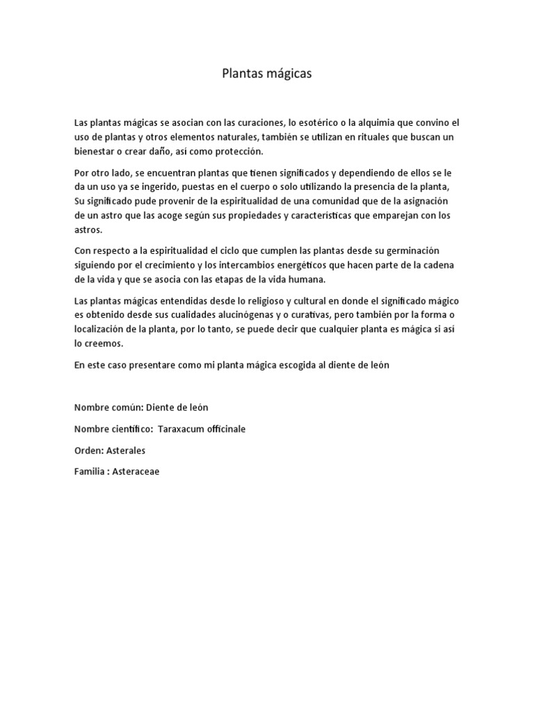 Diente de león: planta mágica y curativa | PDF | Hoja