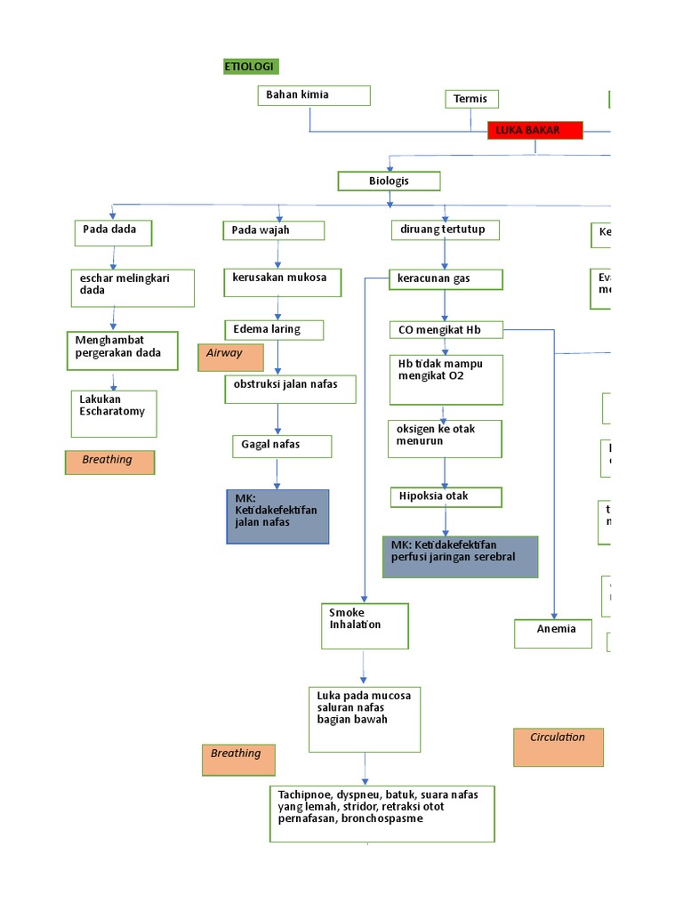 Penyebab dan Dampak Luka Bakar | PDF