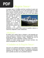 Infografía Cóndor Andino PDF | PDF