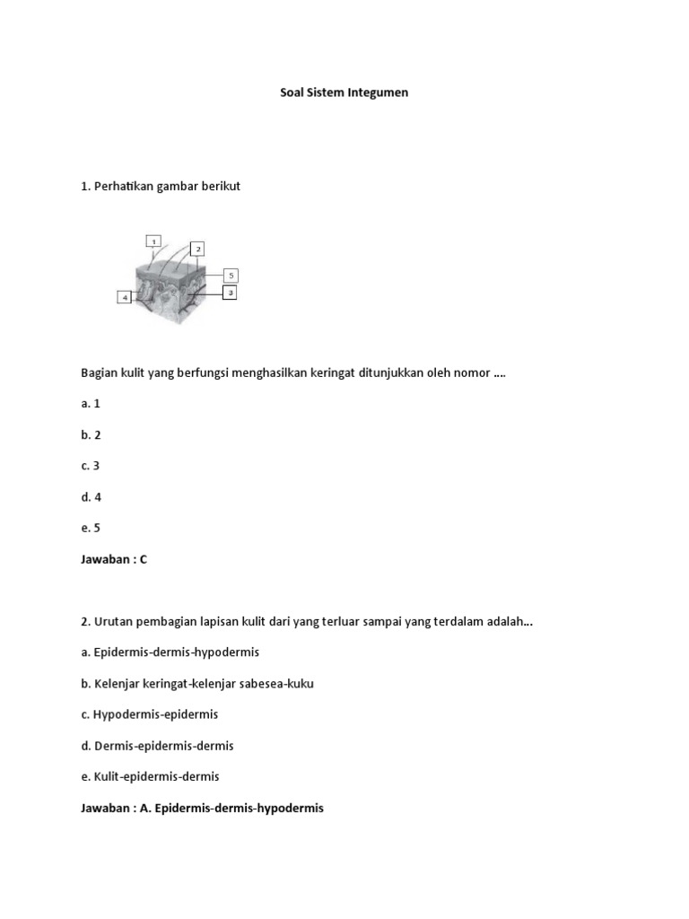 Soal dan Jawaban Sistem Integumen | PDF