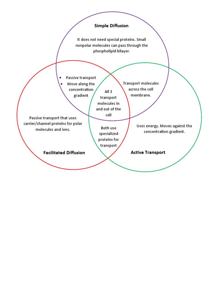 Simple Diffusion | PDF