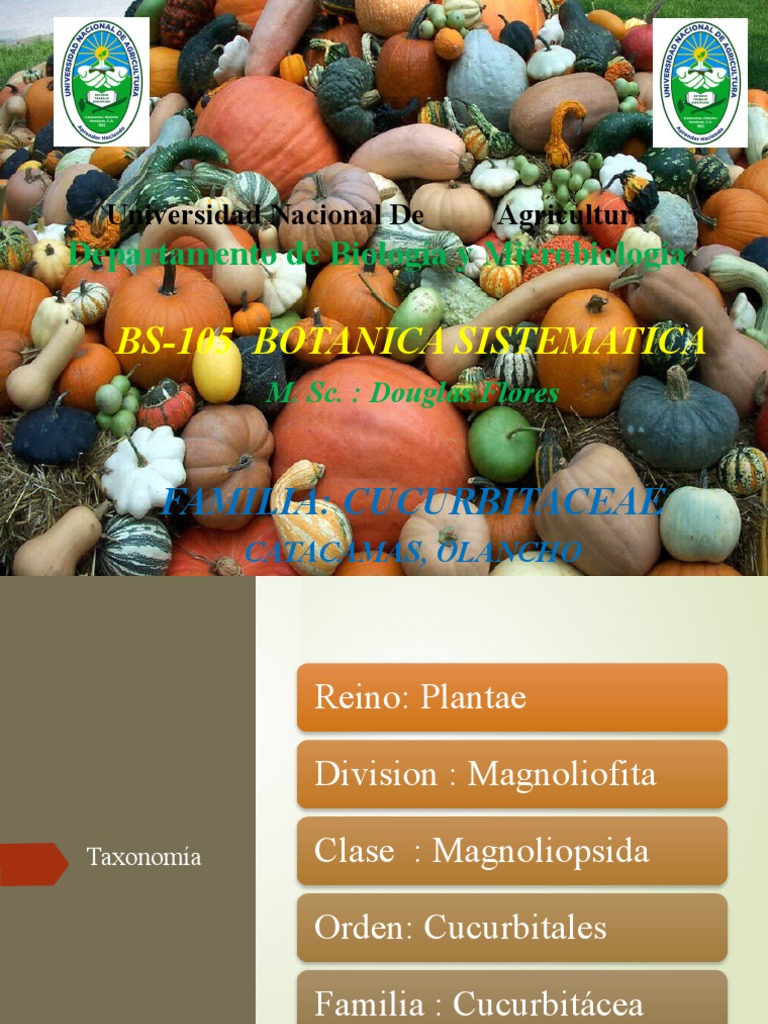 Cucurbitaceae | PDF | Cucurbita | Sandía