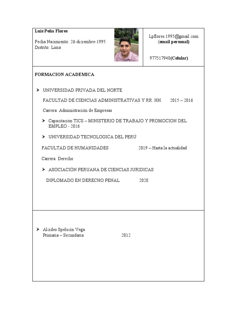 CV - Luis Peña 2022 New1 | PDF | Informática