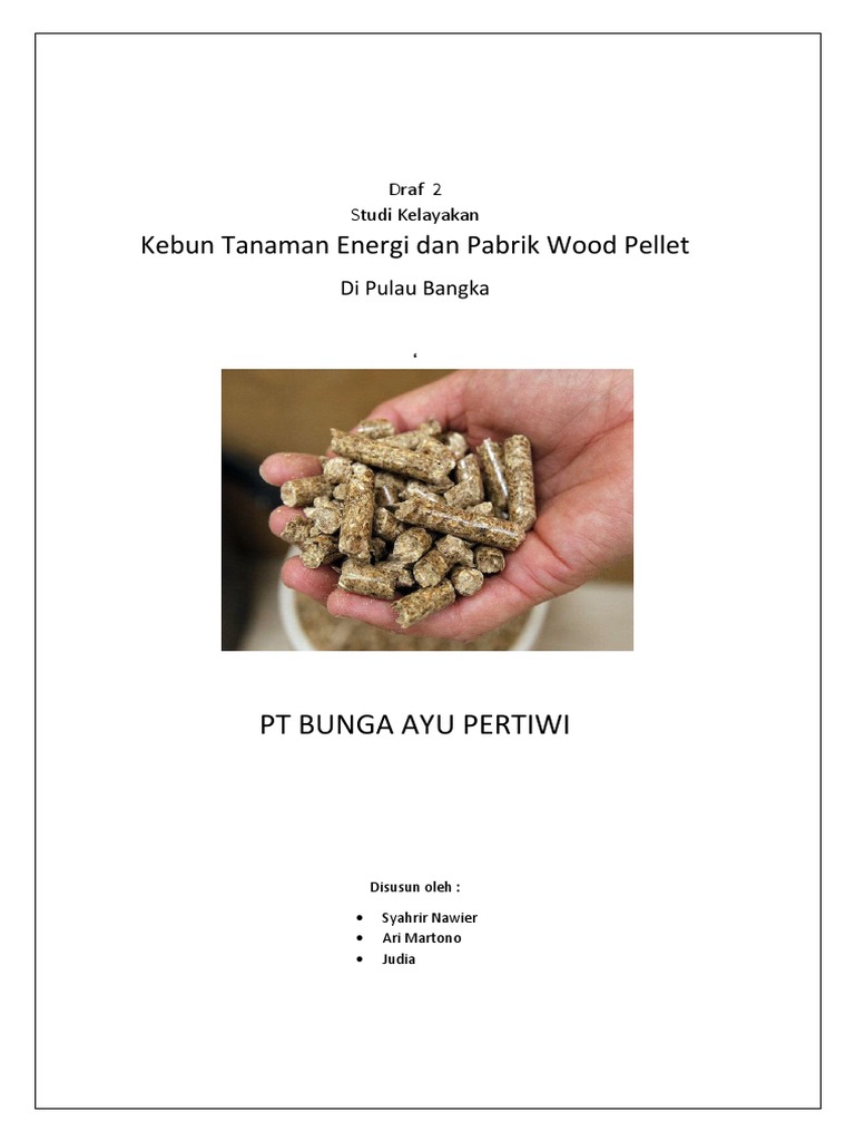 Draf FS Bangka Rev.2a | PDF