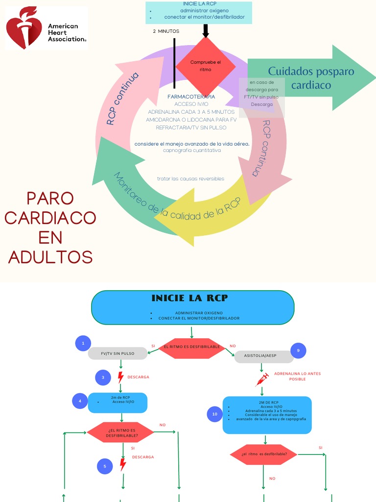 Todos Los Algoritmos | Descargar gratis PDF | Reanimación ... Todos Los Algoritmos | Descargar gratis PDF | Reanimación ...