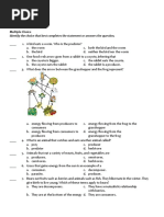 Food Chains and Webs Question Bank | PDF | Eagle | Food Web