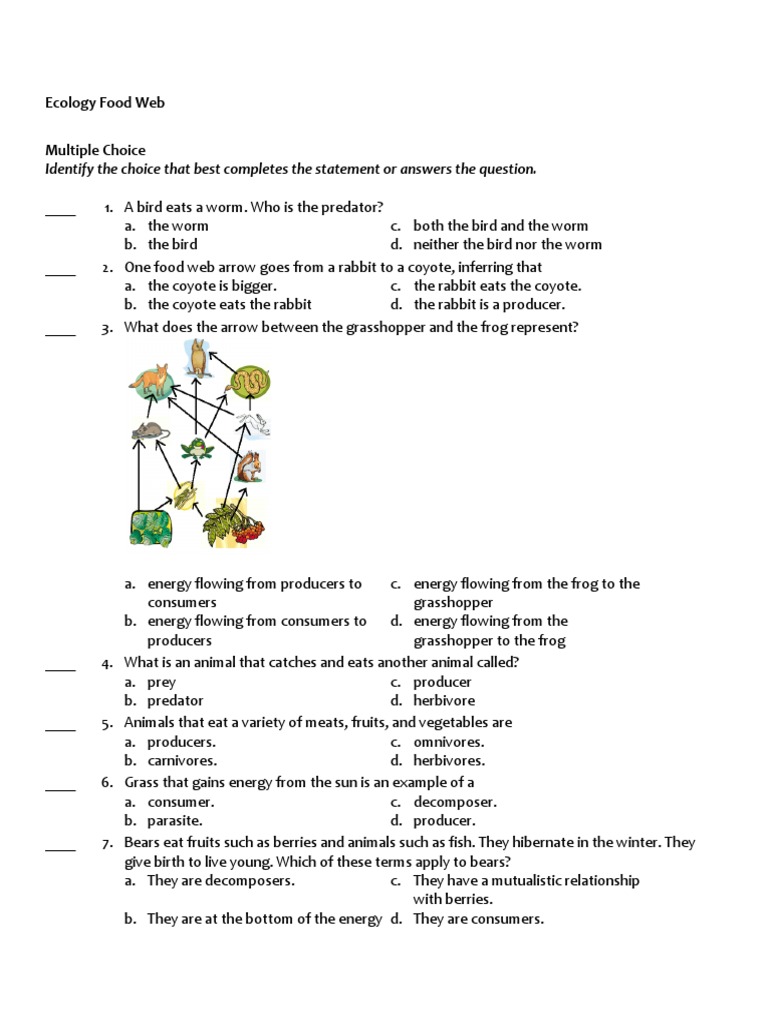 Food Web Quiz 14 1jt11vo | PDF | Food Web | Ecosystem