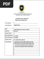 Estefania Fernandez - Lab Activity - Blood Type Pedigree Mystery | PDF ...