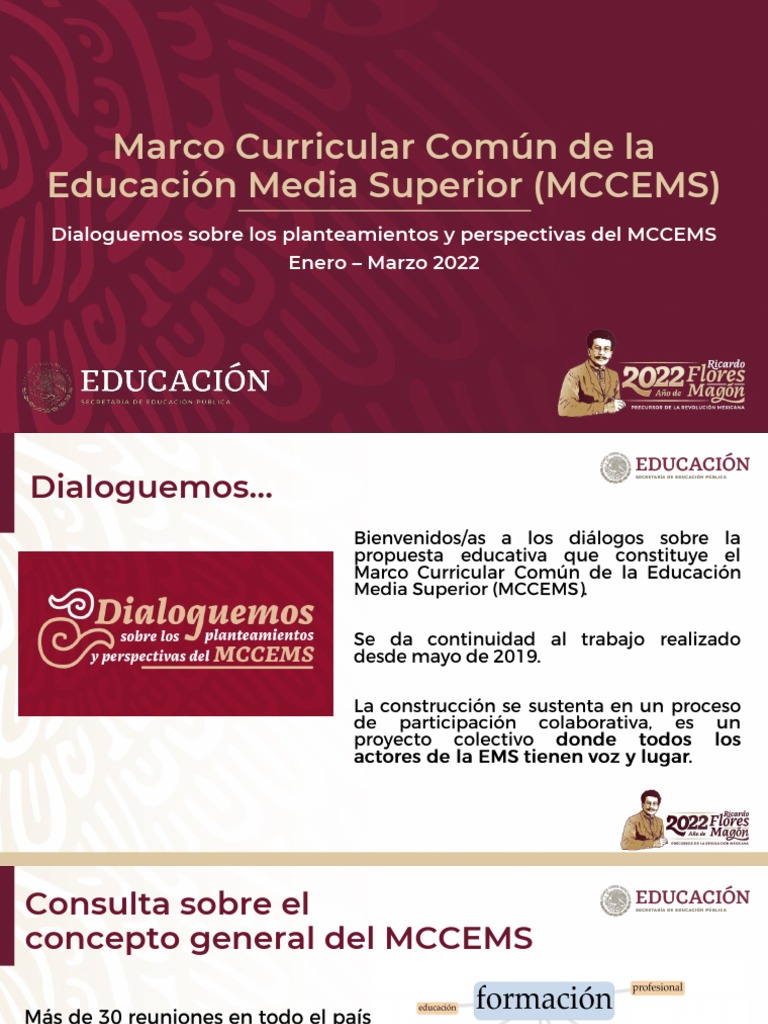Presentación Del MCCEMS | PDF