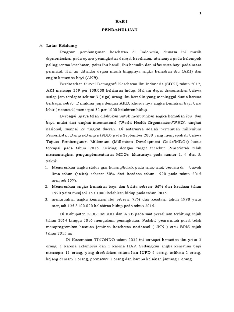 Laporan Tahunan Bidan Desa | PDF