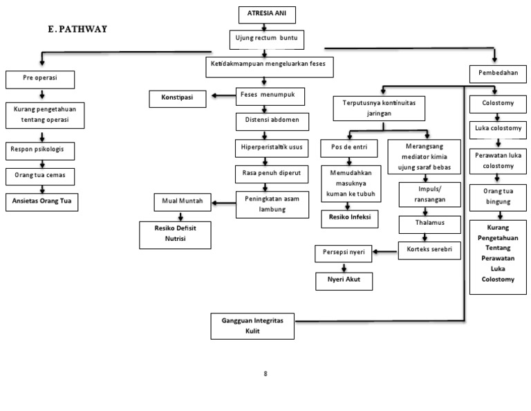 Pathway Atresia Ani | PDF