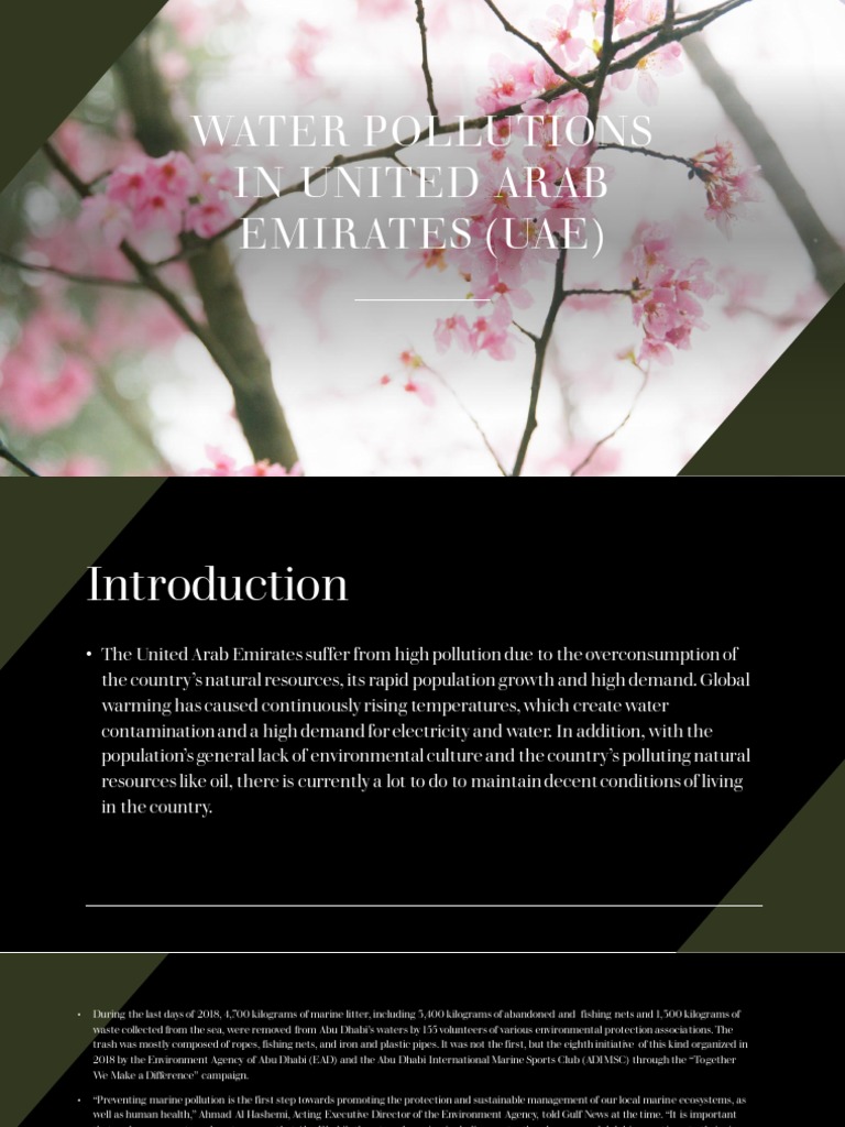 Uae Overconsumption | PDF | Air Pollution | United Arab Emirates