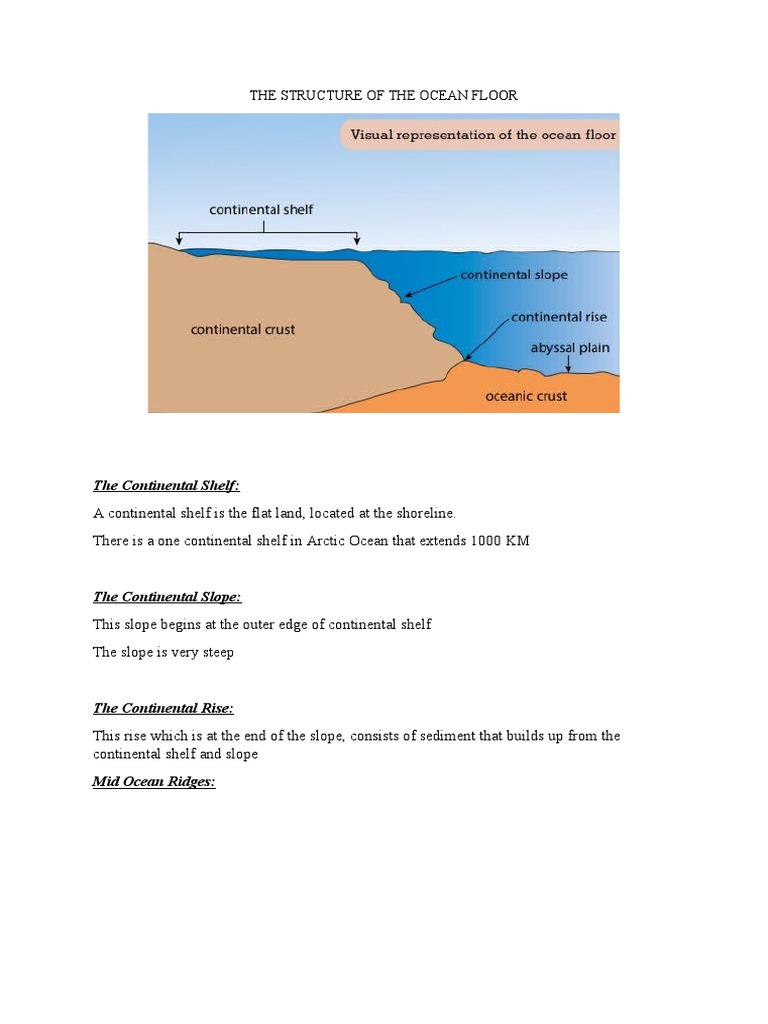 Structure of the Ocean Floor Explained | PDF