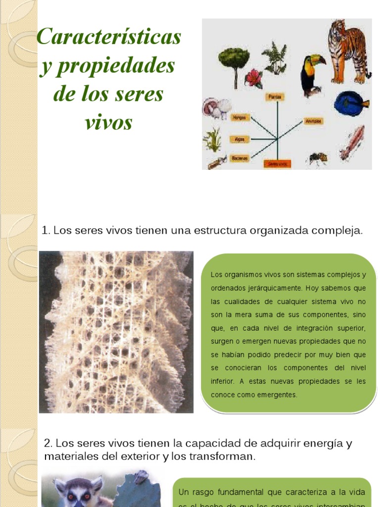 Características y propiedades de seres vivos | PDF | Taxonomía ...