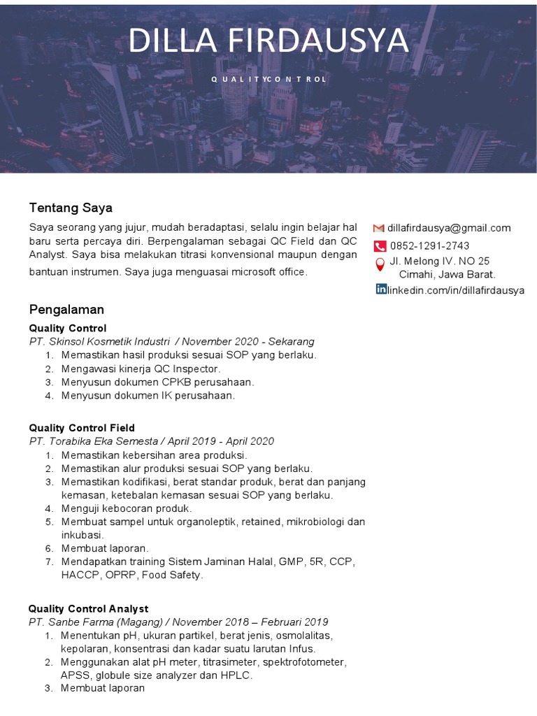 CV Lengkap Dilla Firdausya-1 | PDF