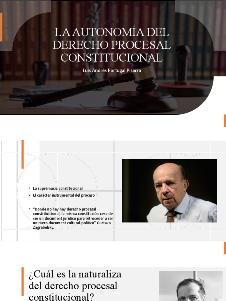 La Autonomía Del Derecho Procesal Constitucional | PDF | Caso de ley ...
