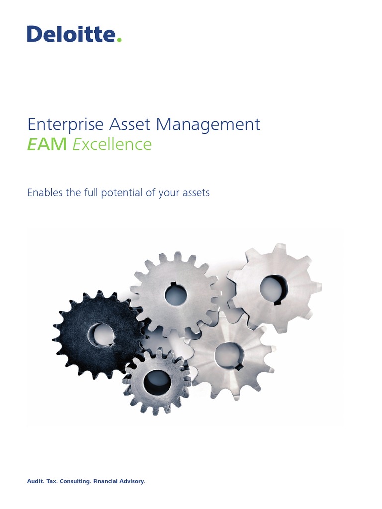 EAM Asset | PDF | Asset Management | Business