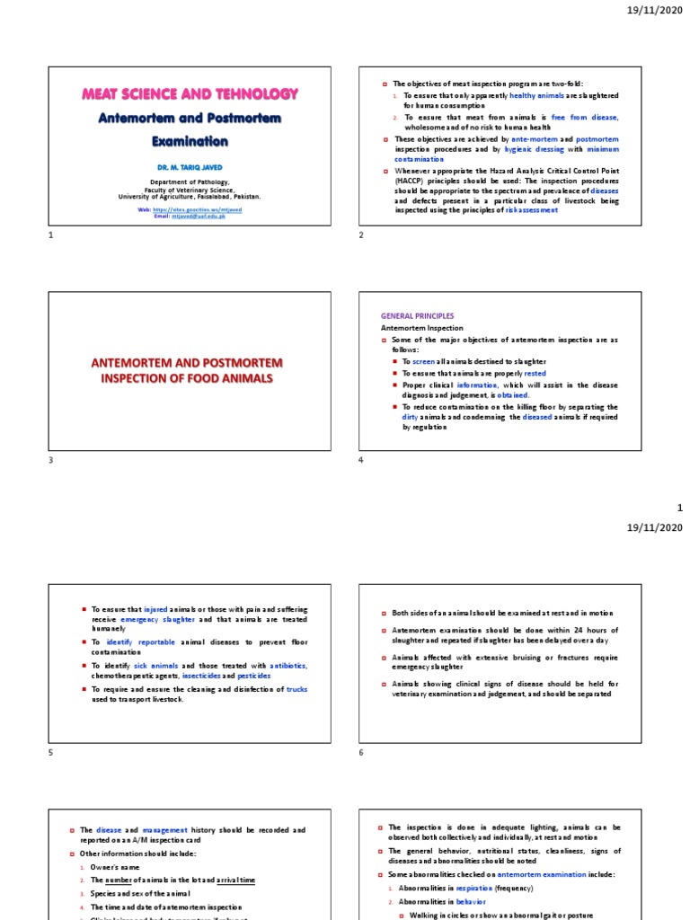 ANTEMORTEM AND POSTMORTEM INSPECTION OF FOOD ANIMALS: OBJECTIVES ...