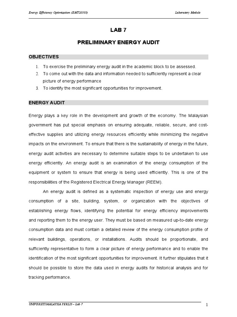 Preliminary Energy Audit | PDF | Audit | Laboratories