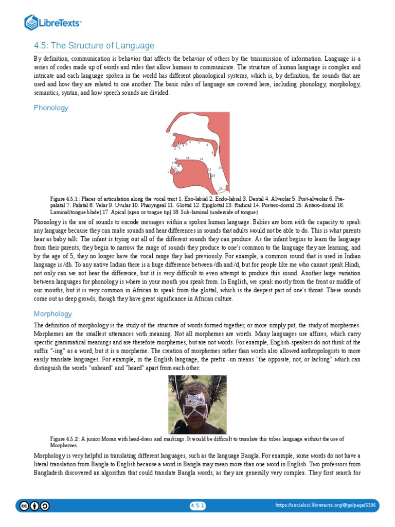 4.5 The Structure of Language | PDF | Syntax | Phoneme