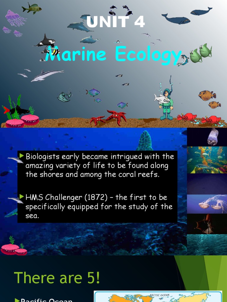 Marine Ecology: An Overview of Marine Environments, Zonation ...