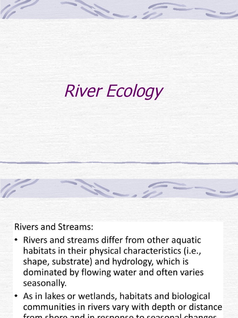 River Ecology | PDF | River | Stream