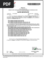 Caste Declaration Format | PDF