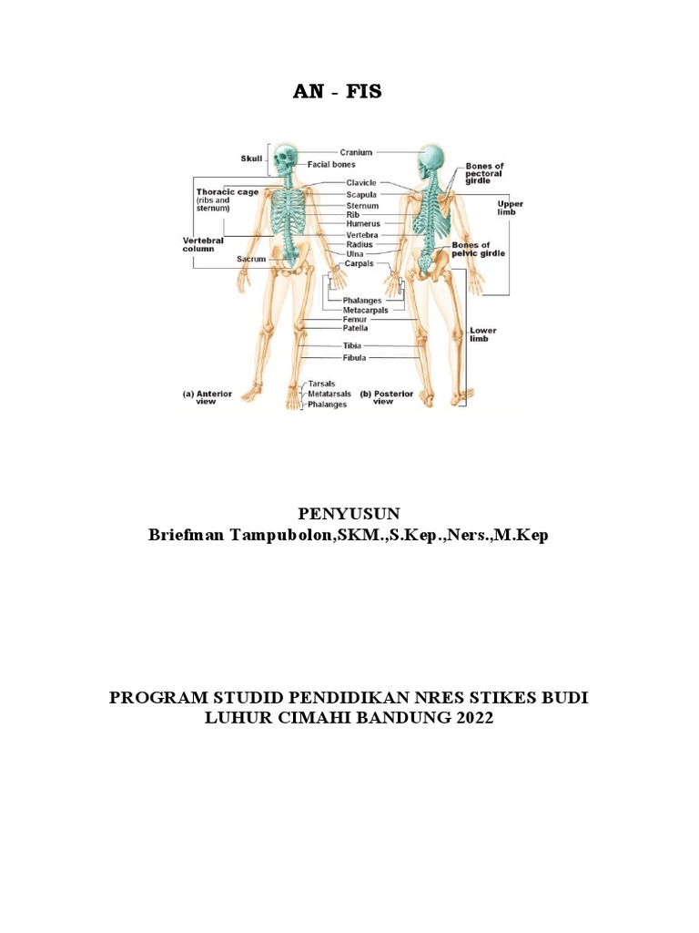 Terminologi Anatomi Manusia | PDF