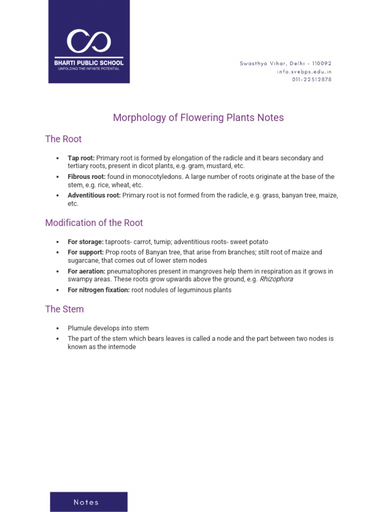 Morphology of Flowering Plants Notes | PDF | Leaf | Seed