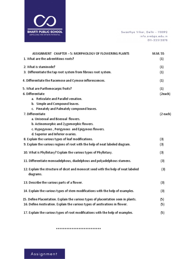 Morphology of Flowering Plants Assignment | PDF | Home & Garden ...
