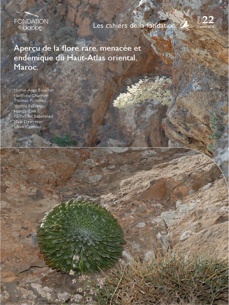 Flore rare du Haut-Atlas oriental, Maroc | PDF | Plantes | Botanique
