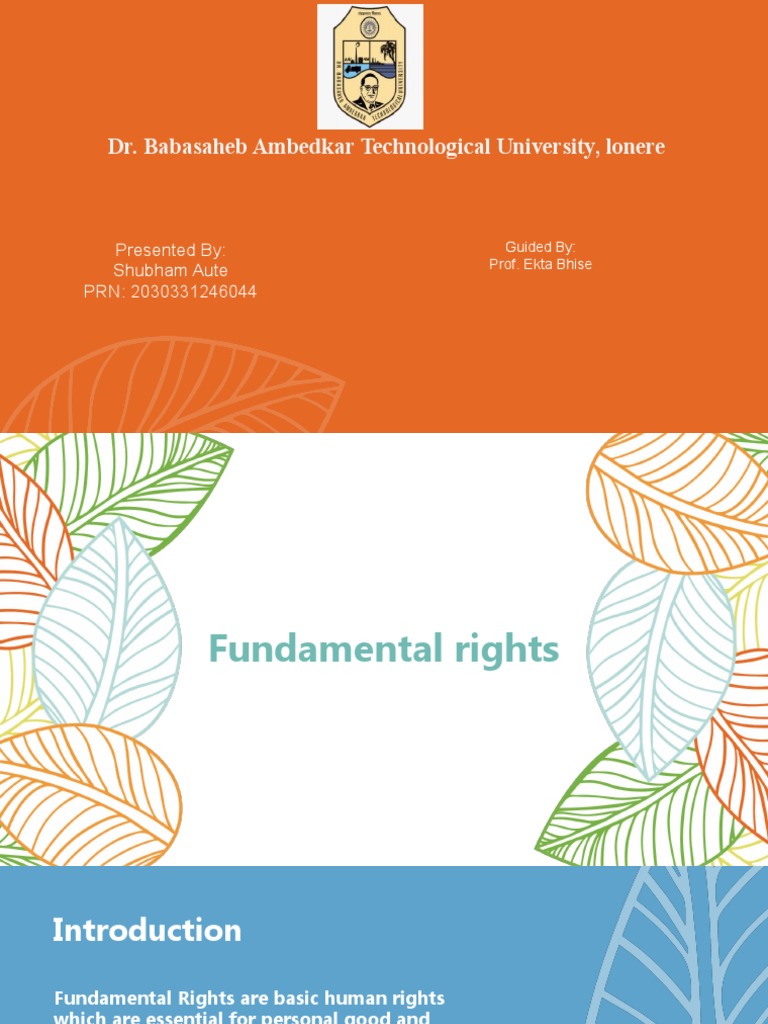 Fundamental Rights | Download Free PDF | Government | Rights