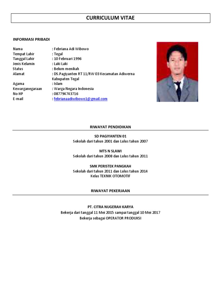 CV-Febriana Adi Wibowo | PDF