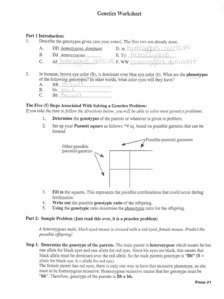 Sex Linked Trait Pdf