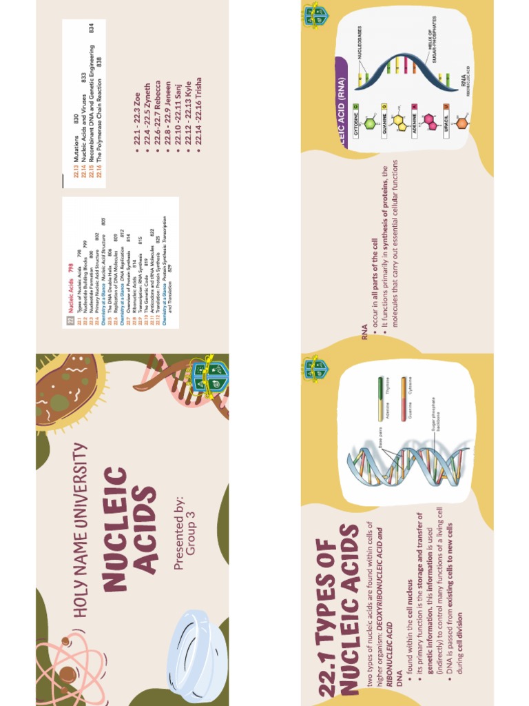 Nucleic Acid Notes | PDF