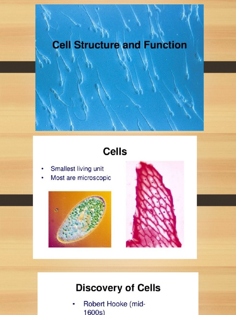 Gen Bio m1 q1 Cell Theory | PDF