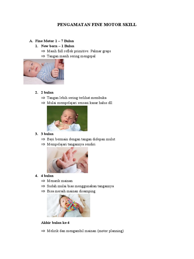SL Fine Motor | PDF