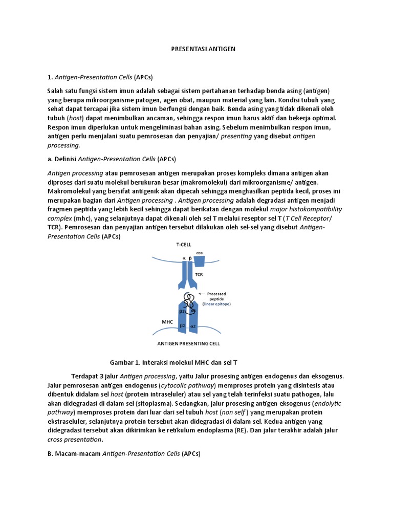 Pemrosesan & Presentasi Antigen | PDF