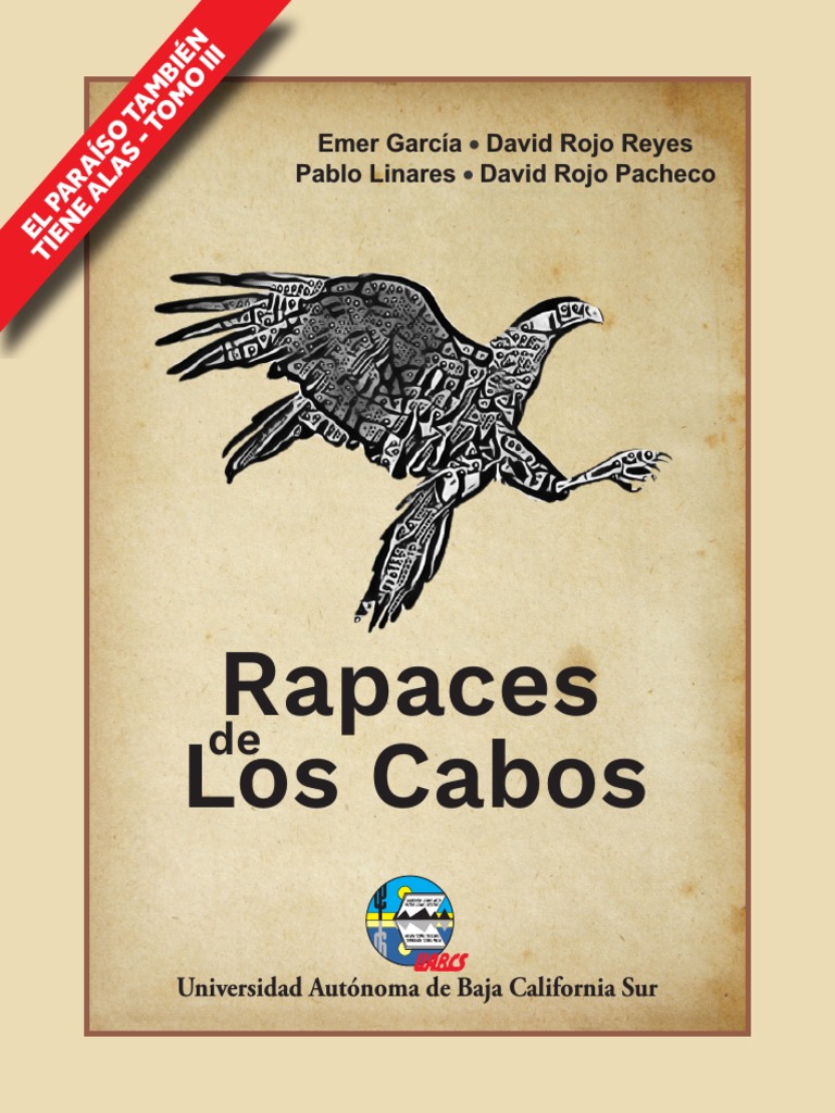 III-Rapaces de Los Cabos | PDF | Turismo | Aves de presa