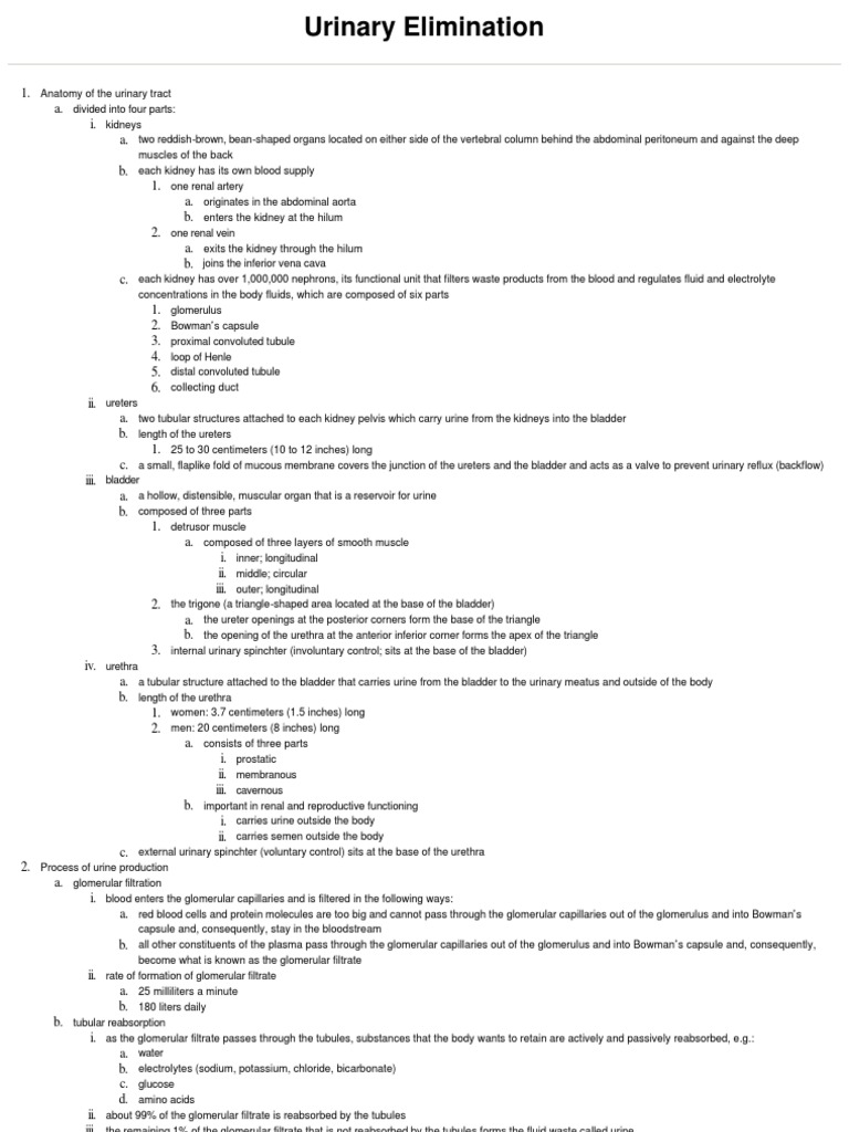 Urinary Elimination | PDF | Urinary System | Urinary Incontinence