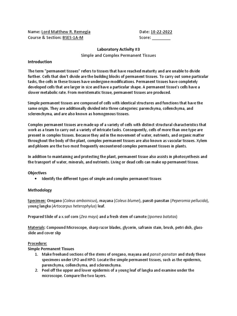 Simple and Complex Permanent Tissues | PDF | Tissue (Biology) | Leaf