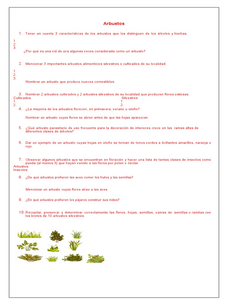 Características y Tipos de Arbustos | PDF | Hogar, jardinería y bricolaje